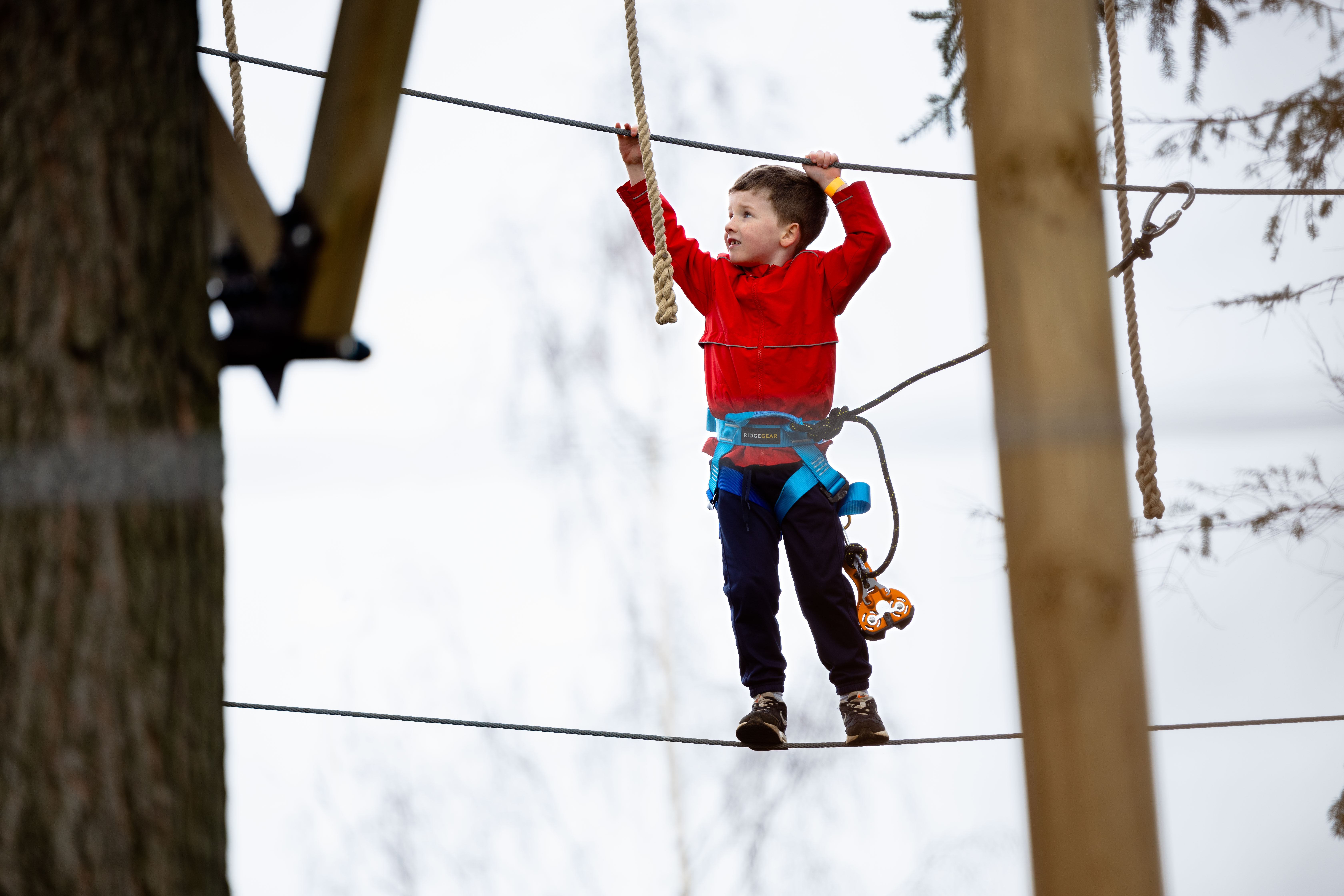CastleWood Treetop Adventure - Visit Antrim & Newtownabbey