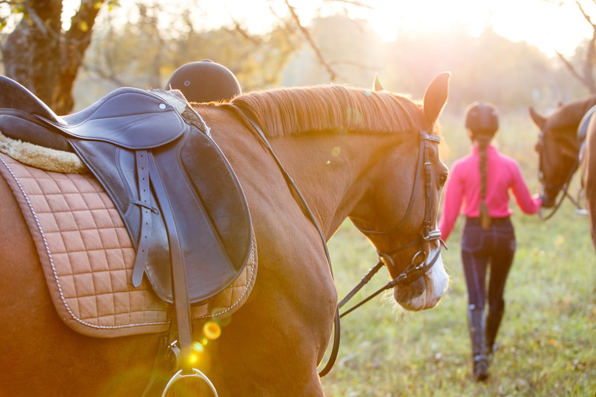 Ballylagan Trail Rides | Things to Do - Visit Antrim & Newtownabbey