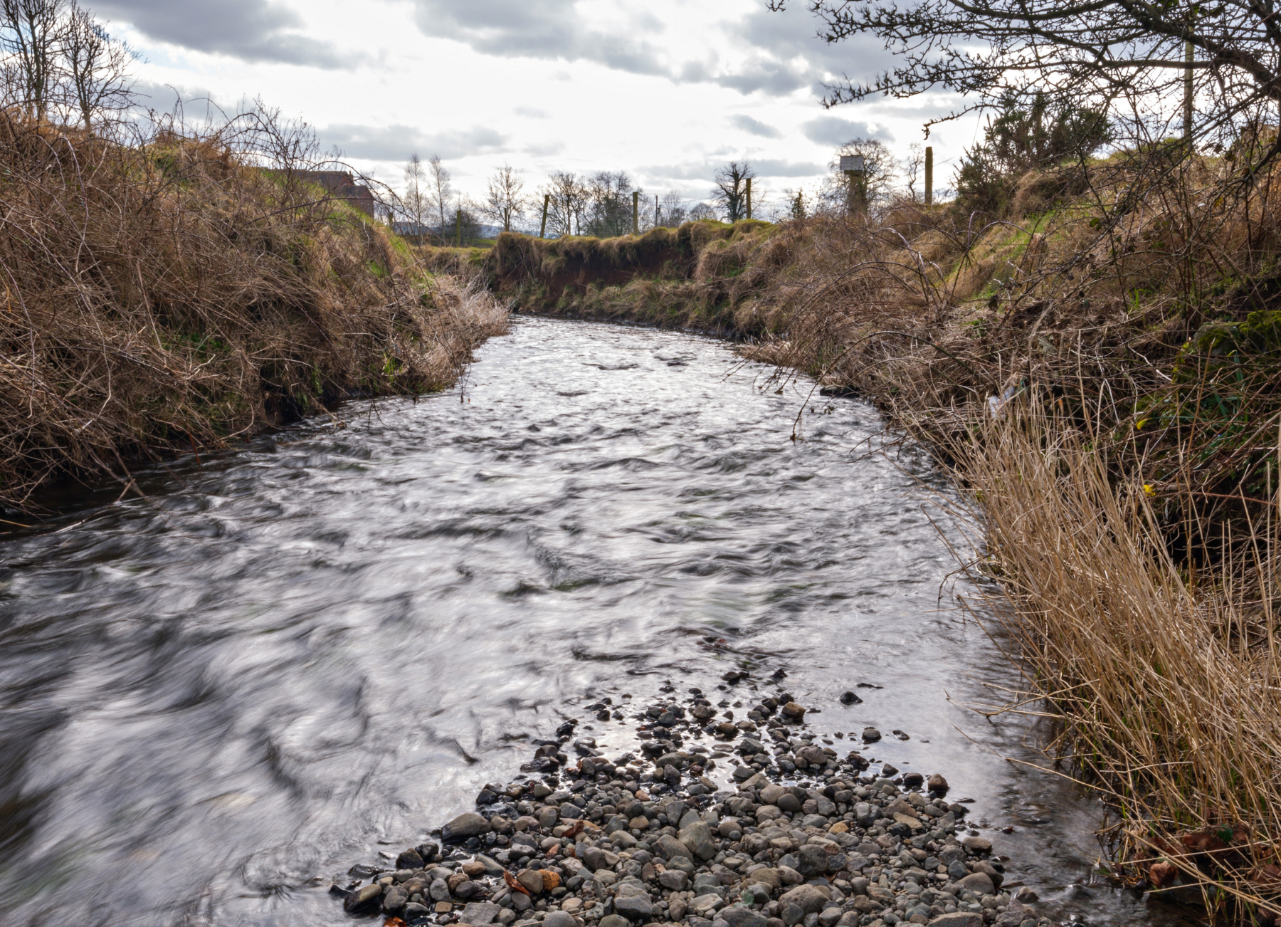 Doagh Burn - Visit Antrim & Newtownabbey